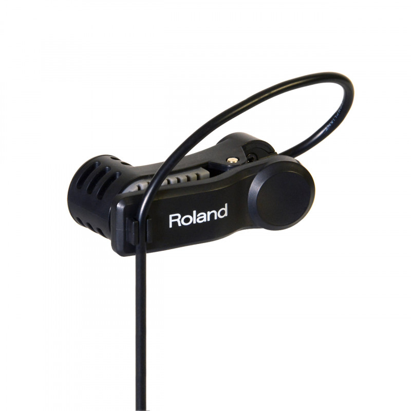 ROLAND EC-10M ELCAJON MIC PROCESSOR